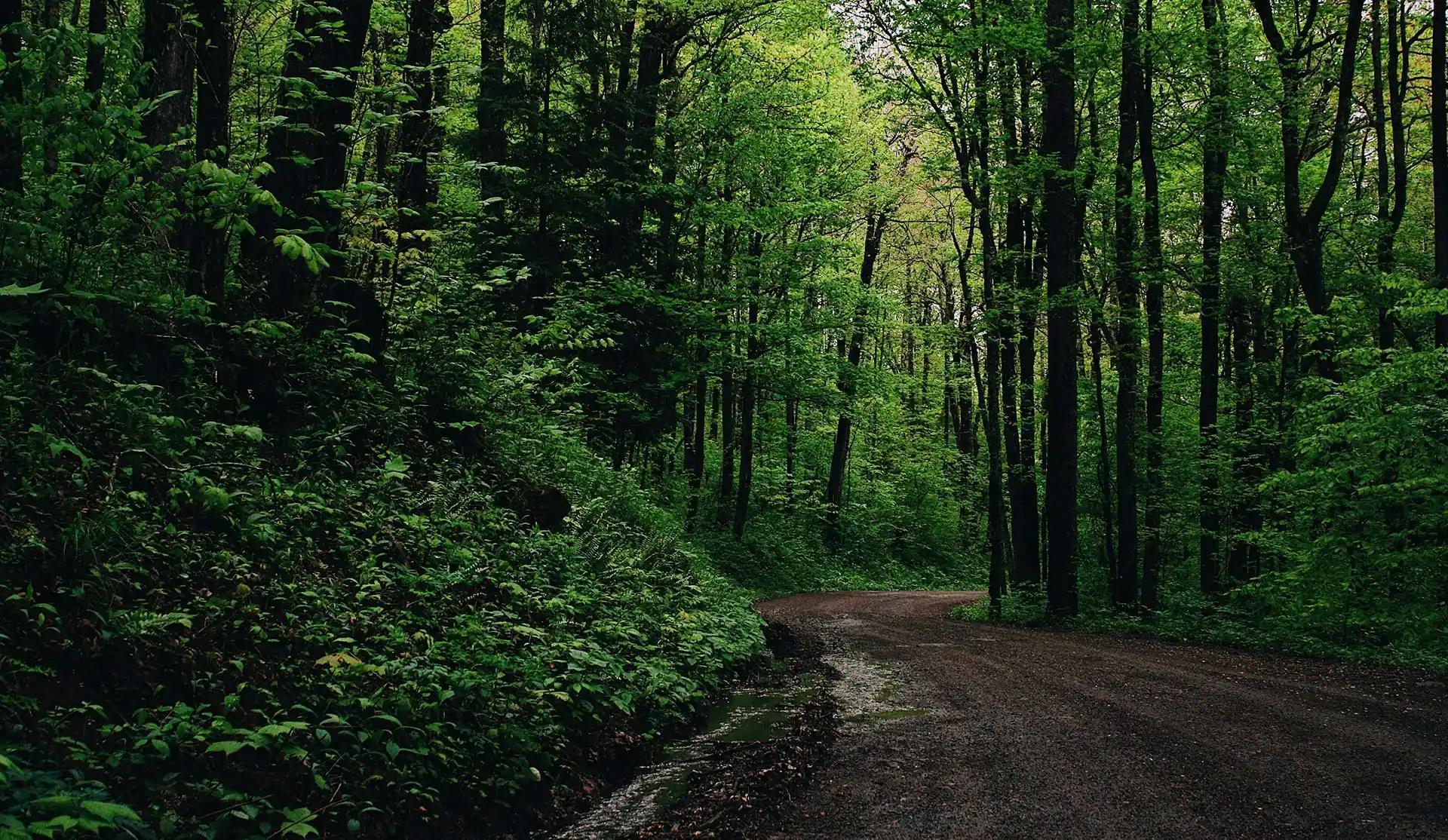 K2T - Le Partenaire de Delta Forest